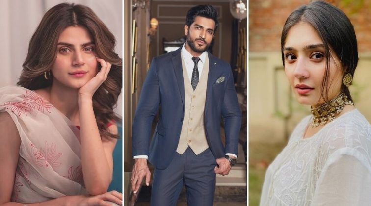 Bharas: Cast, OST Song, Story and Timing Starring Omer Shahzad, Zubab ...