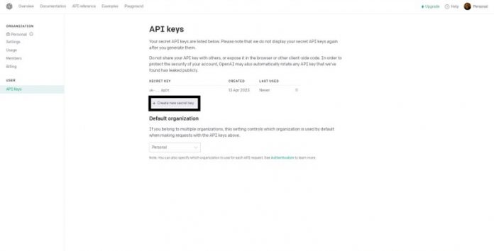 OpenAI API Key | Pakistani Journal