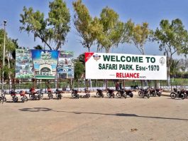 Safari Park Karachi Timing | Pakistani Journal