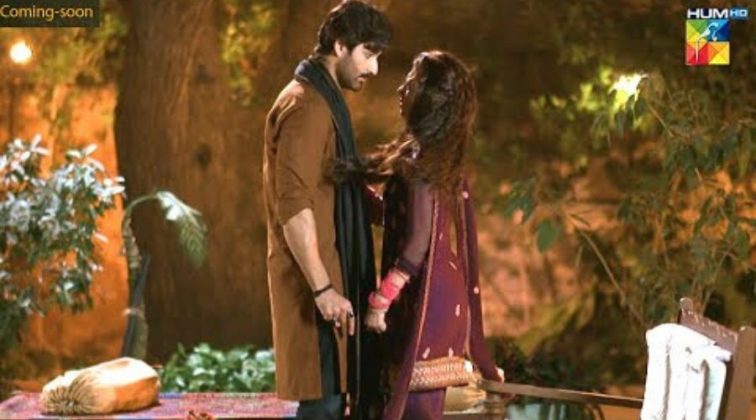 Fareb Drama 2023 Cast, Release Date, Story, Trailer | Pakistani Journal