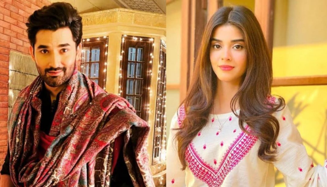 Fareb Drama 2023 Cast, Release Date, Story, Trailer | Pakistani Journal